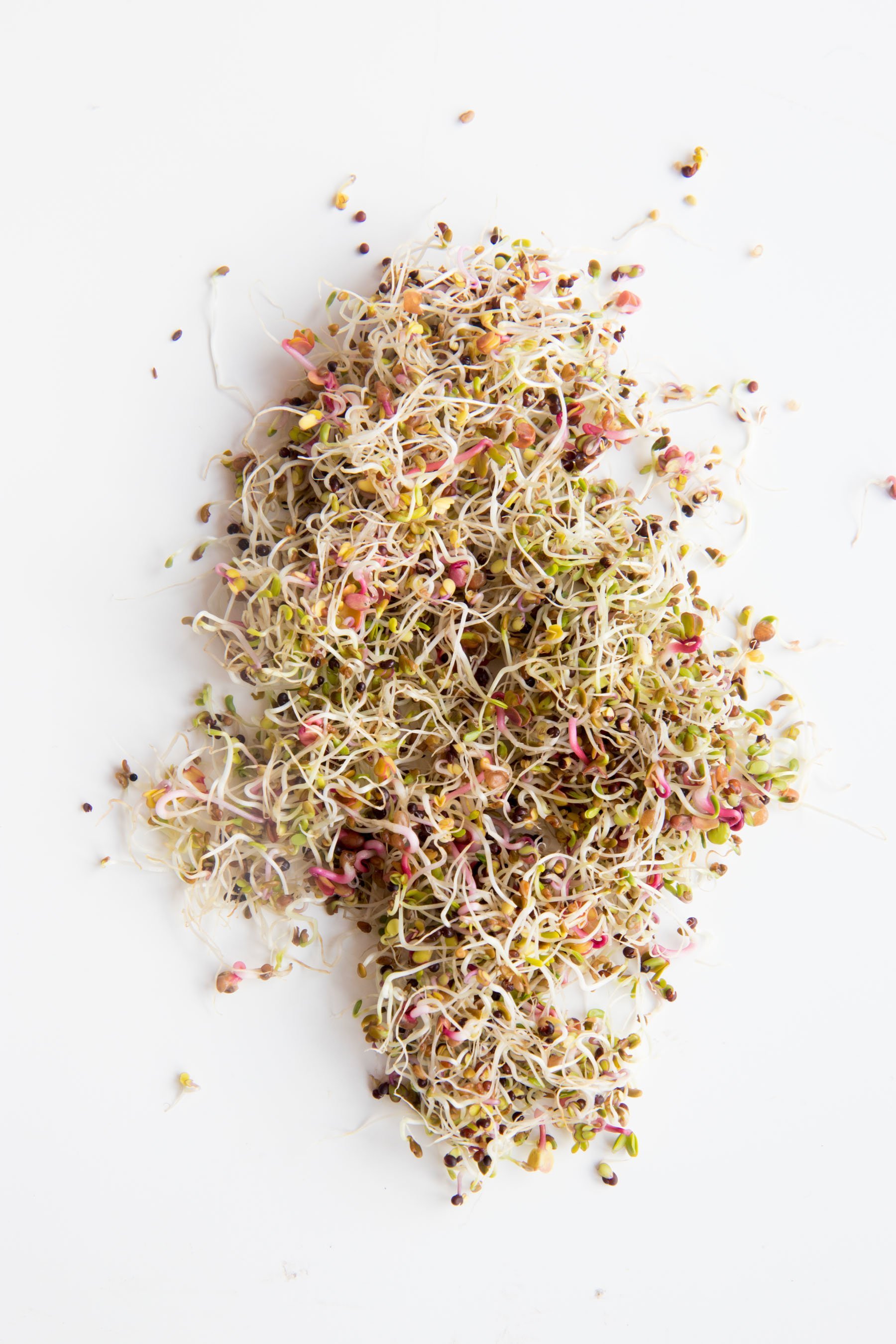 Sprouting 101: How to Sprout and Why You Should | Wholefully