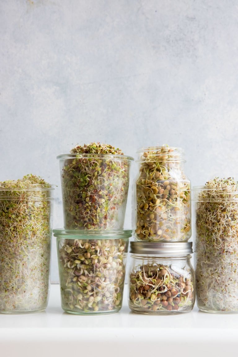 Sprouting 101: How to Sprout and Why You Should | Wholefully