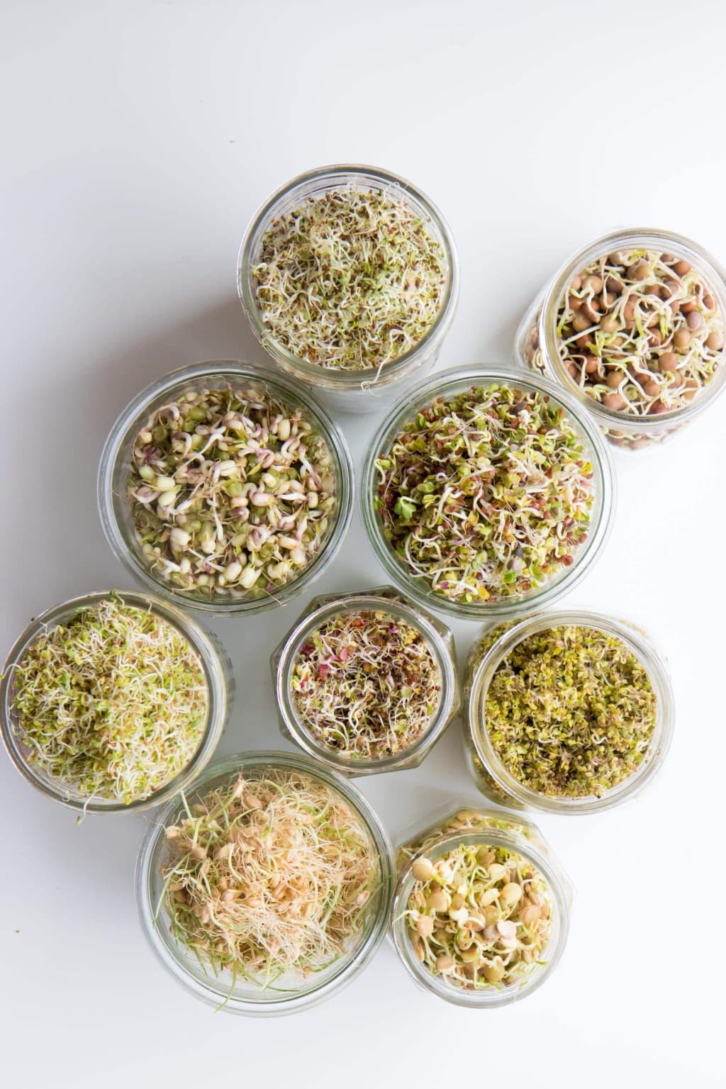 Sprouting 101: How to Sprout and Why You Should | Wholefully