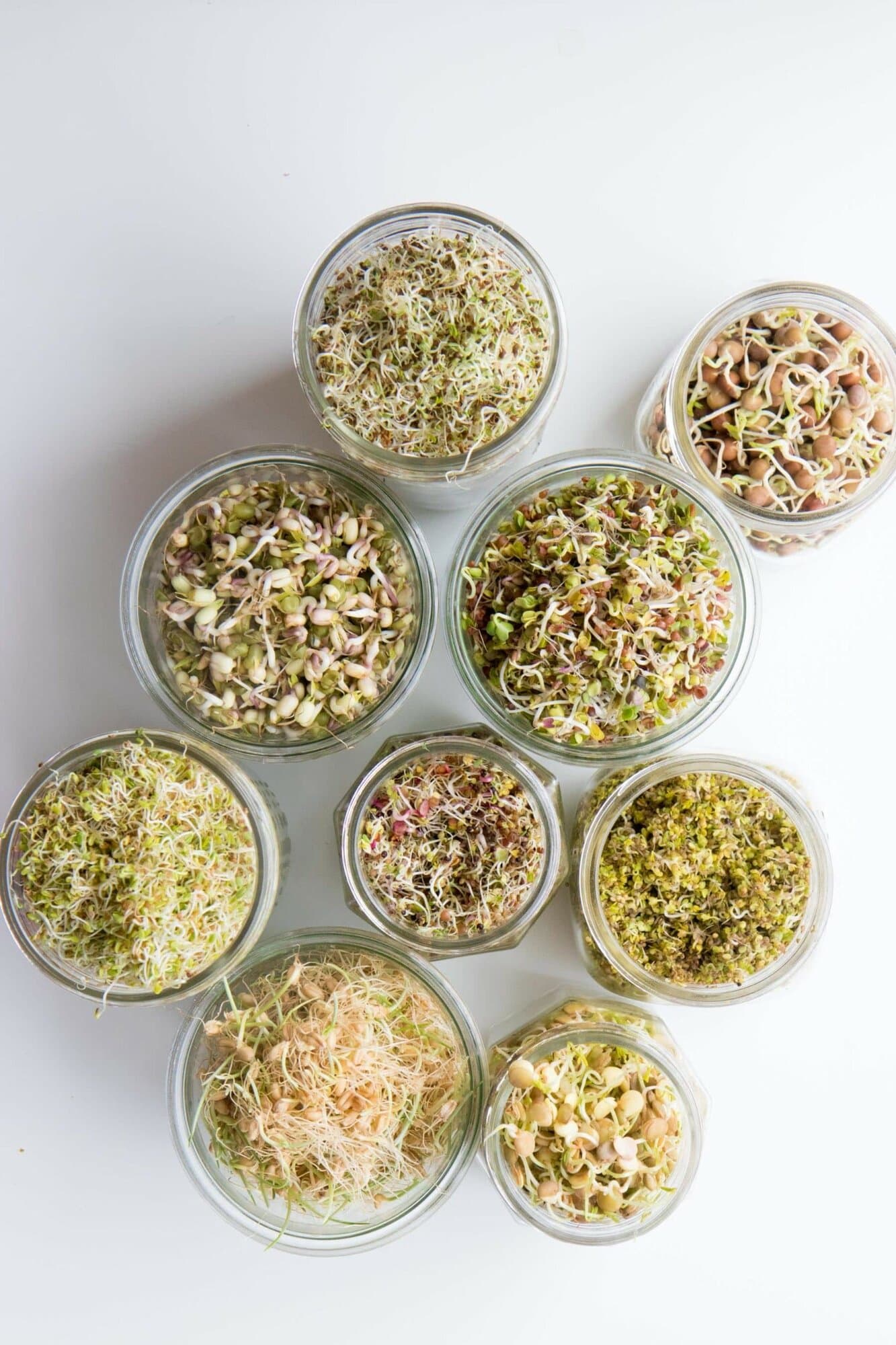 Sprouting 101: How to Sprout and Why You Should | Wholefully