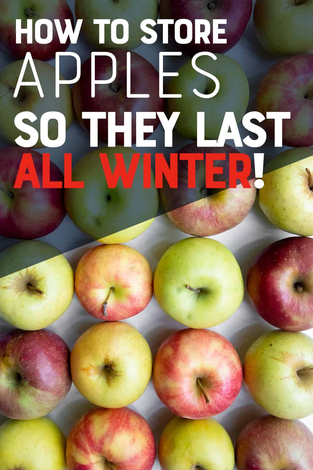 How to Store Apples Long Term and Short Term | Wholefully