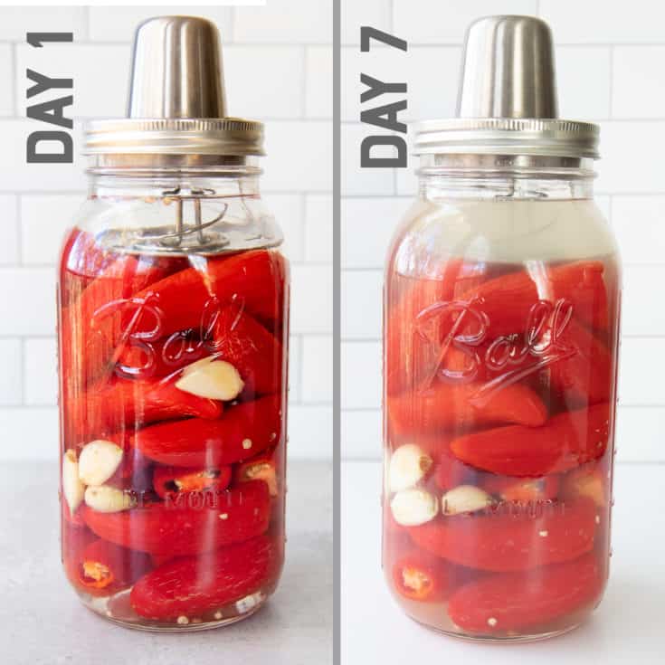 Homemade Hot Sauce (Fermented or Quick Cook Recipe) | Wholefully