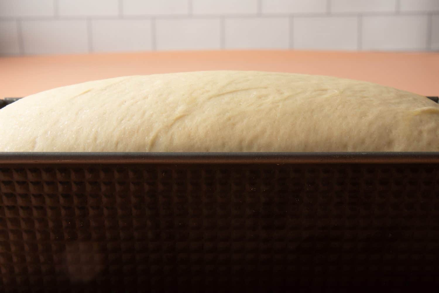 Easy Homemade Sandwich Bread | Recipe and Tutorial | Wholefully