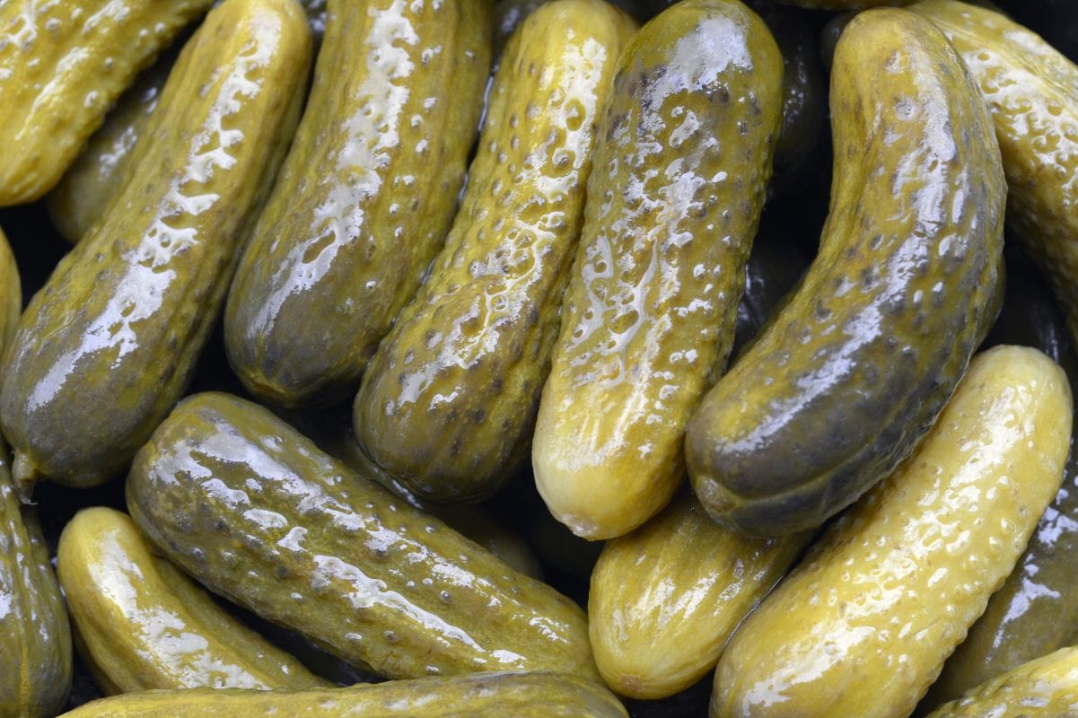 The Best Homemade Dill Pickle Recipe | Wholefully